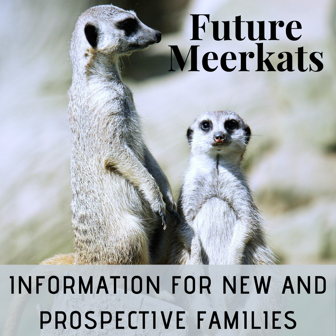 future meerkats2 | Monocacy Valley Montessori Public Charter School