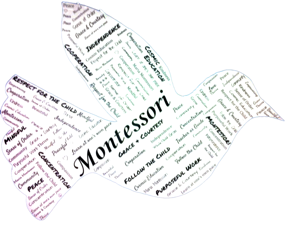 Monocacy Valley Montessori Public Charter School | Maryland's First ...